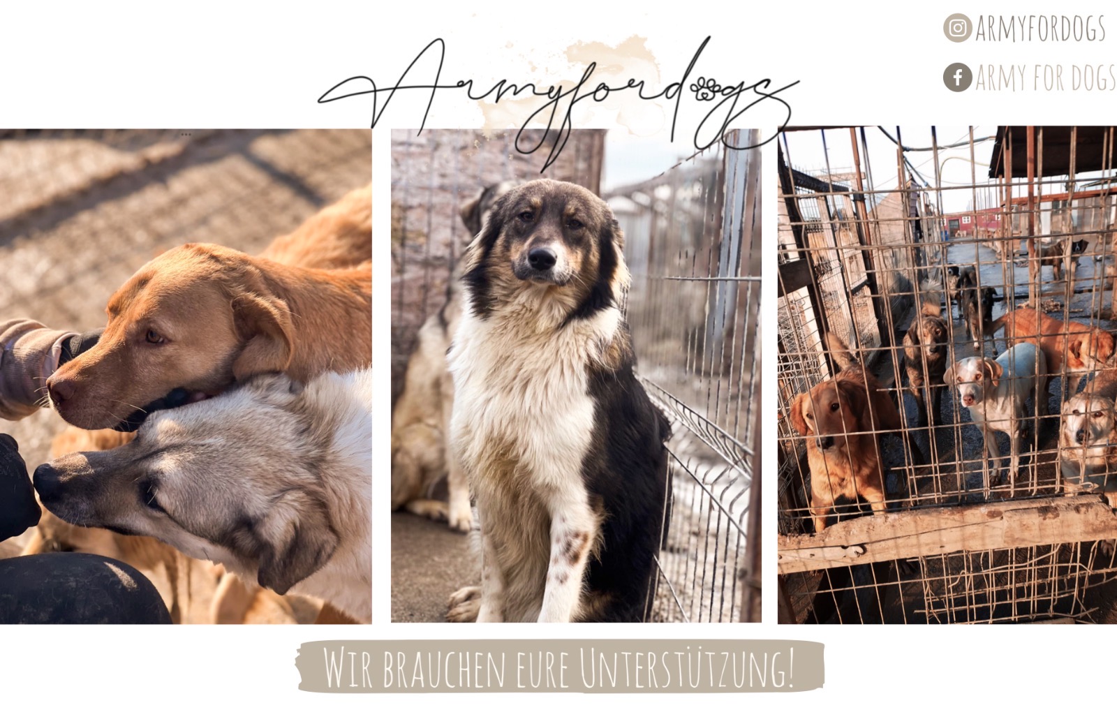 Sponsoren - Armyfordogs e.V. - Tierschutzverein